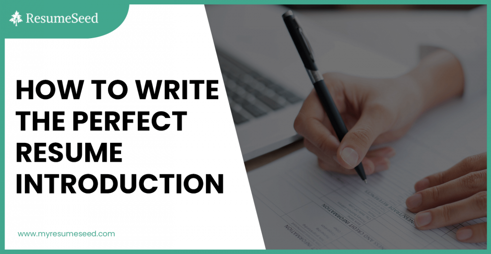 How to Write The Perfect Resume Introduction (with examples) - ResumeSeed