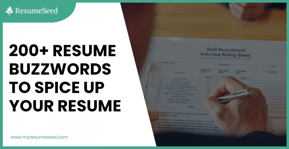 200+ Resume Buzzwords to spice up your resume - ResumeSeed